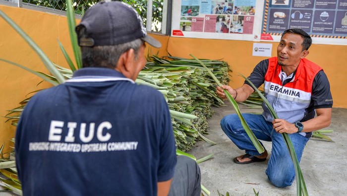 Pemanfaatan Serat Olahan Daun Nanas Menjadi Produk Eco Fashion Pemanfaatan Serat Olahan Daun Nanas Menjadi Produk Eco Fashion