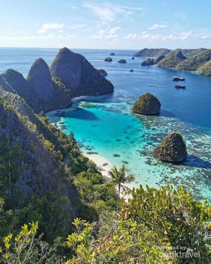 Keindahan Bawah Laut Raja Ampat yang Tak Terkira