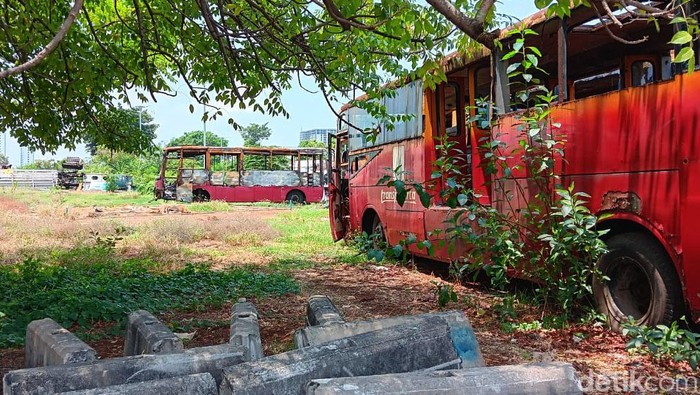 Potret Ratusan Bangkai Bus 'Dikubur' di Rawa Buaya