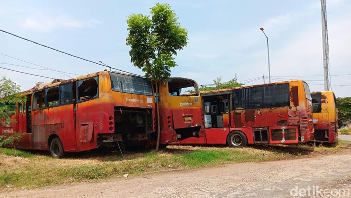 Potret Ratusan Bangkai Bus 'Dikubur' di Rawa Buaya