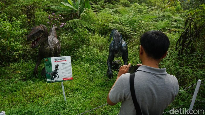 Wow... Ada 'Dinosaurus' di Purbalingga