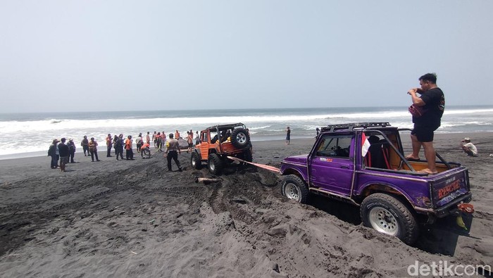 Foto-foto Momen Evakuasi Hiu Tutul Jumbo 1 Ton di Kulon Progo Pakai Jip