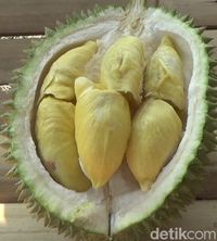 Juara Enaknya! Durian Lokal Punya Daging Tebal dan Rasa Legit Creamy