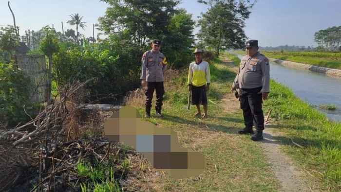 Terungkap Identitas Perempuan Tewas dengan Leher Tergorok di Jember Terungkap Identitas Perempuan Tewas dengan Leher Tergorok di Jember