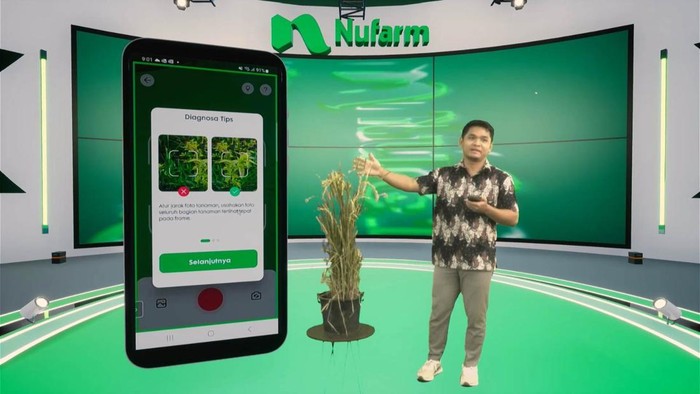 Cara Petani Deteksi Hama lewat Aplikasi Berbasis AI