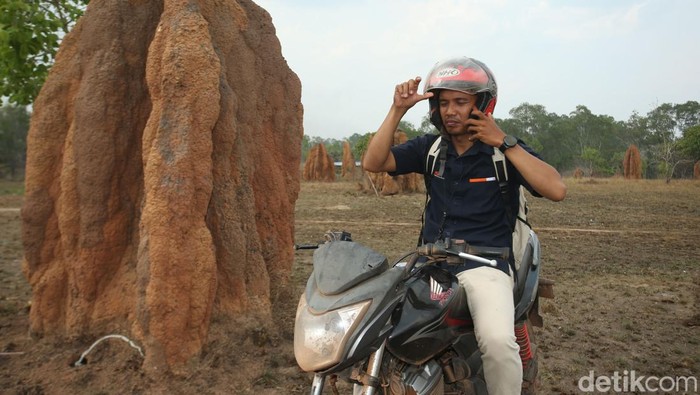 Tantangan Mantri BRI di Ujung Timur Indonesia, Bertemu Ular hingga ...