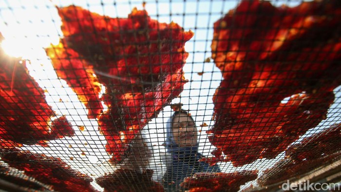 Gurih Dendeng Rusa Jadi Buah Tangan dari Merauke
