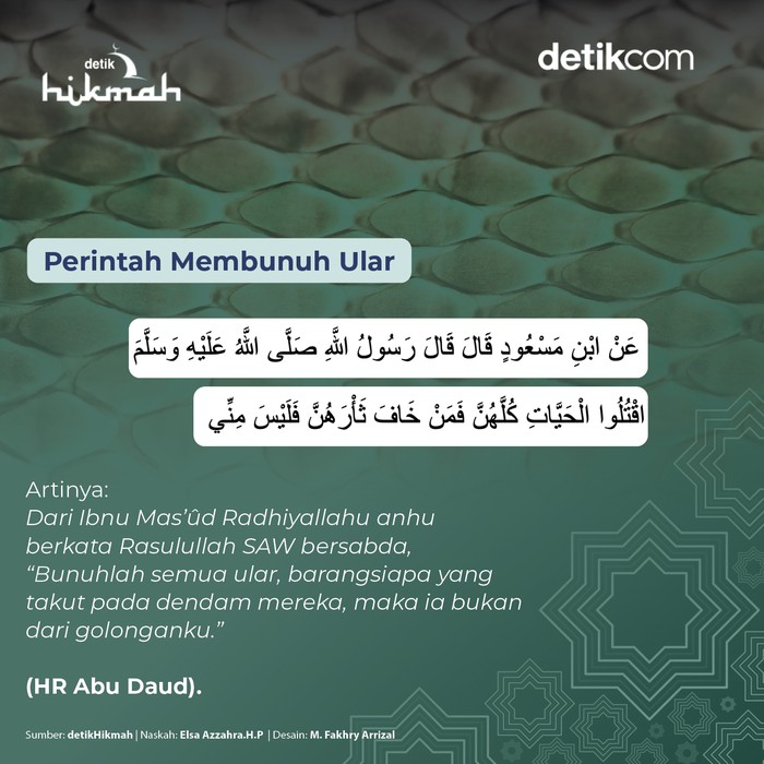 Alasan Nabi Muhammad Perintahkan Membunuh Ular