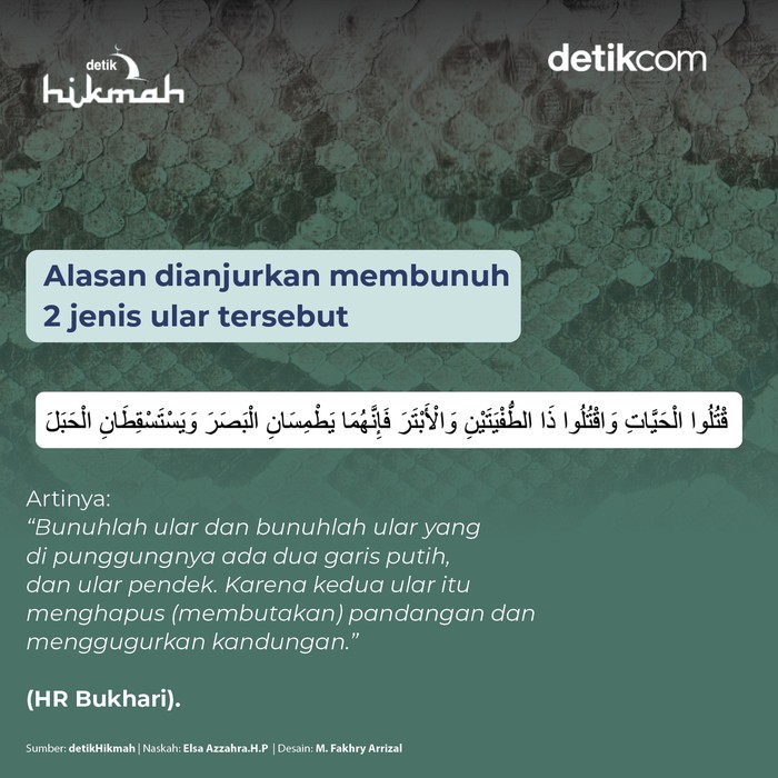 Alasan Nabi Muhammad Perintahkan Membunuh Ular Alasan Nabi Muhammad Perintahkan Membunuh Ular