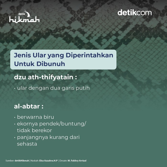 Alasan Nabi Muhammad Perintahkan Membunuh Ular