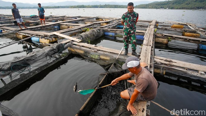 Genjot Ekonomi, TNI di Tobelo Bantu Kembangkan Keramba Ikan Tawar