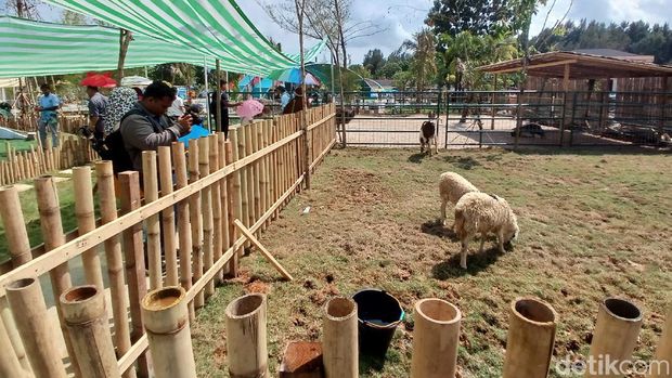 Serunya Akhir Pekan Bermain di Batam Zoo Paradise Serunya Akhir Pekan Bermain di Batam Zoo Paradise