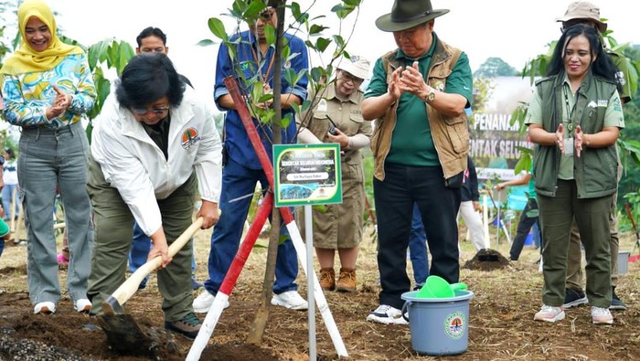 KLHK Tanam Pohon Serentak di 38 Provinsi Indonesia