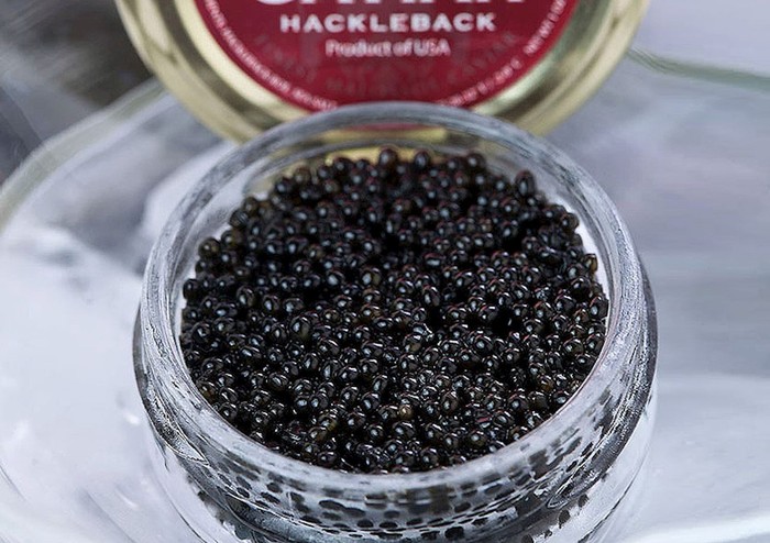 Ini Dia! 10 Jenis Caviar di Dunia yang Populer Sebagai Makanan Sultan