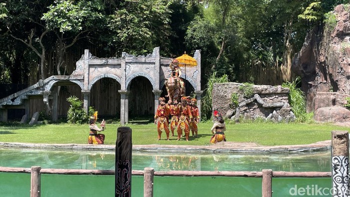 Liburan Seru di Taman Safari Bali