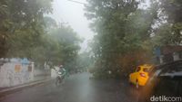 Hujan Deras Disertai Angin Kencang Tumbangkan 2 Pohon di Surabaya