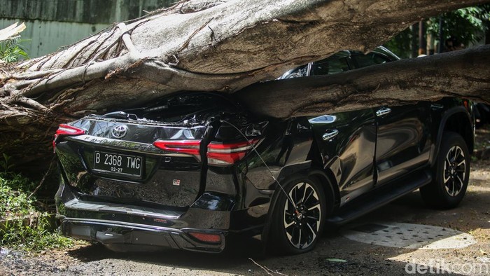 Bruukk.. Pohon Tumbang Timpa Mobil Fortuner di Jaksel