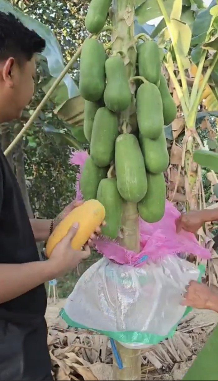 Romantisnya Denny Caknan dan Bella Bonita Saat Makan Soto Bareng