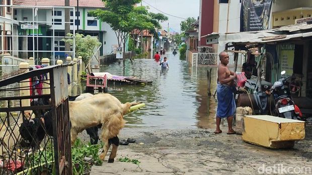 Update Banjir Di Wonoketingal Demak Tinggi Air Capai 1 5 Meter