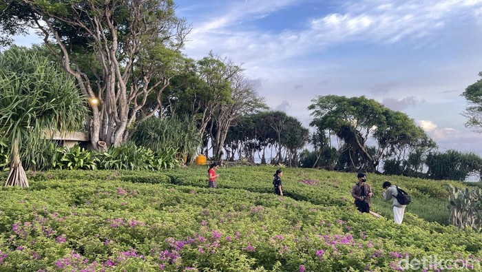 Peninsula Island Wisata Low Budget di Bali, tapi View Nggak Kaleng-kaleng