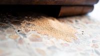 4 Cara Basmi Kumbang Bubuk Kayu yang Suka Gerogotin Furniture