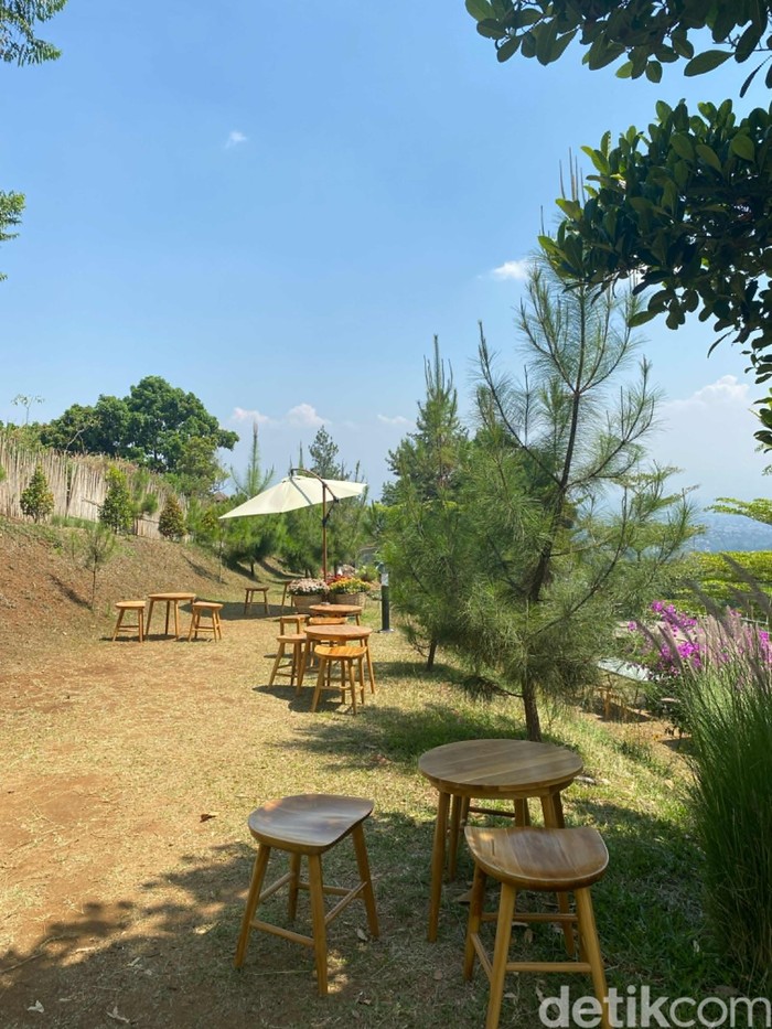 Cantik! Kafe di Dago Ini Hadirkan Nuansa ala 'Dalat' yang Penuh Bunga