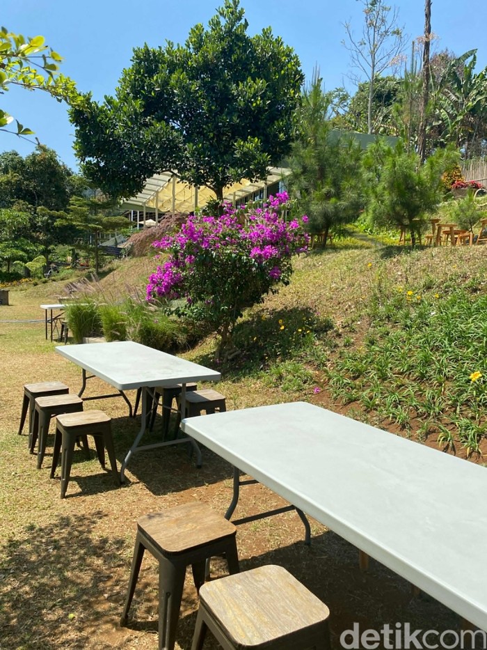Cantik! Kafe di Dago Ini Hadirkan Nuansa ala 'Dalat' yang Penuh Bunga