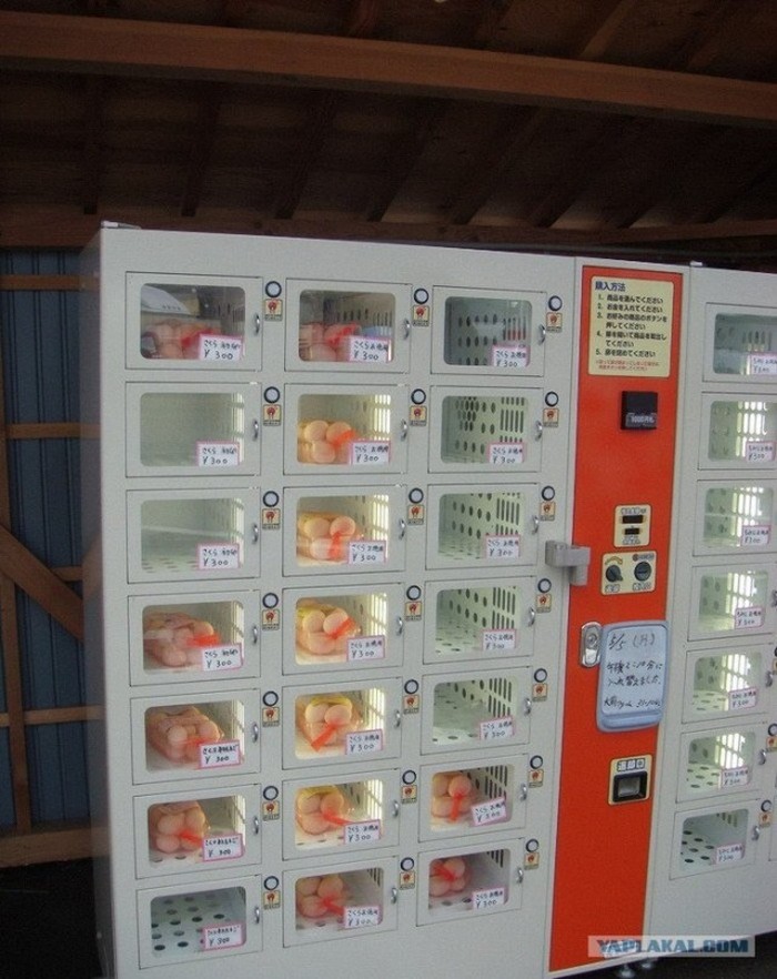 10 Vending Machine Makanan Tak Biasa yang Pernah Ada di Dunia