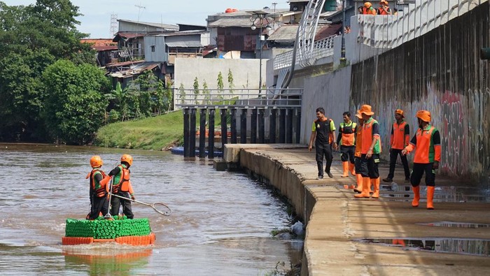 Cegah Banjir, DLH DKI Bentuk Satgas Pemantau Sungai Ciliwung Tangani Sampah Cegah Banjir, DLH DKI Bentuk Satgas Pemantau Sungai Ciliwung Tangani Sampah
