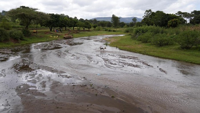 Warga Kenya Bangun Bendungan Pasir untuk Selamat dari Kekeringan Warga Kenya Bangun Bendungan Pasir untuk Selamat dari Kekeringan