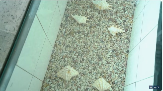 8 Potret Rumah Unik Dokter Boyke, Bentuknya Terinspirasi Keong