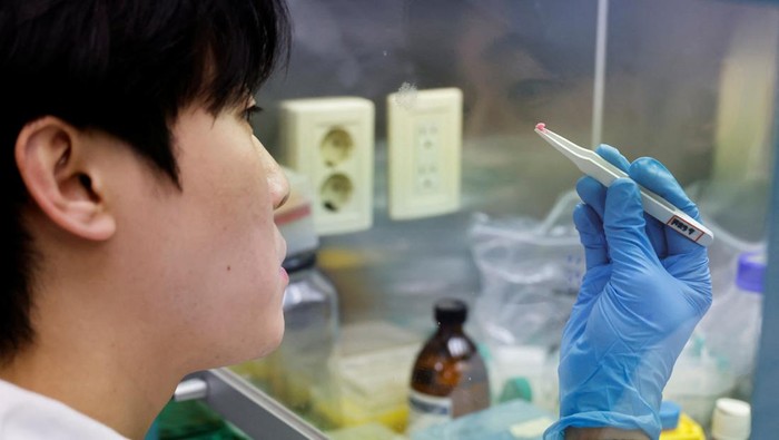 Penampakan Beras Daging Sapi Buatan Peneliti Korsel