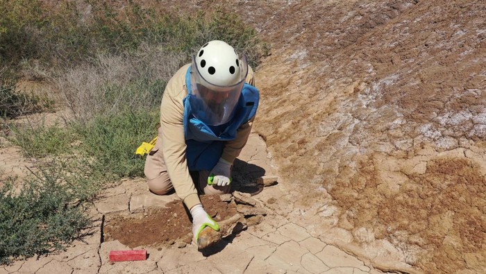 Melihat Proses Pembersihan Ranjau Darat Sisa Perang Iran-Irak