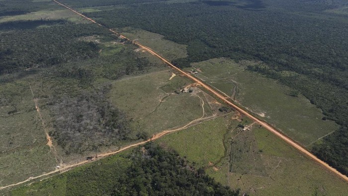 Penampakan Pembangunan Jalan Raya yang Membelah Hutan Amazon