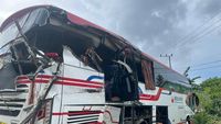Kronologi Tabrakan Maut Bus Borlindo Vs Truk di Pasangkayu hingga 4 Tewas