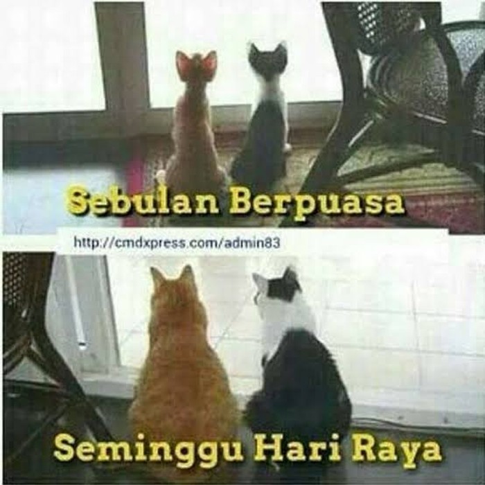 10 Meme Kocak Orang-orang yang Kalap Makan Saat Lebaran