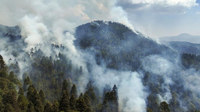 Penampakan Kepulan Asap Akibat Kebakaran Hutan di Meksiko