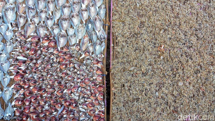 Potret Kehidupan Nelayan Kenjeran Surabaya