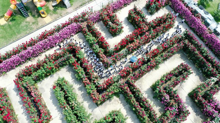 Menjelajahi Taman Bunga Labirin di Dongyang China