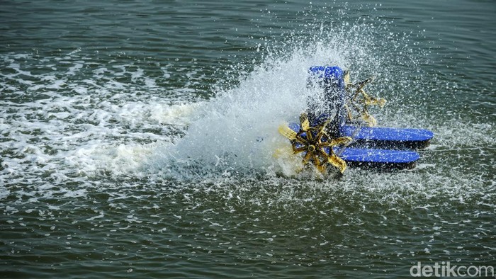 Melihat Budi Daya Nila dengan Teknologi eFeeder di BLUPPB Karawang