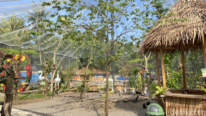 Baru! Jogja Hadirkan Taman Aviary Seru Lewat Ibarbo Park
