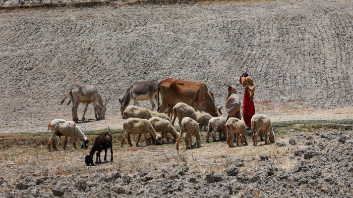 Panas Banget! Suhu di Pakistan Capai 52 Derajat Celcius Panas Banget! Suhu di Pakistan Capai 52 Derajat Celcius