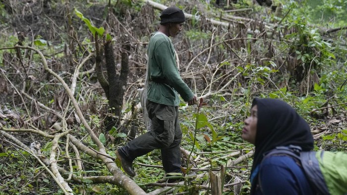 Wanita-wanita Tangguh Penjaga Hutan Aceh