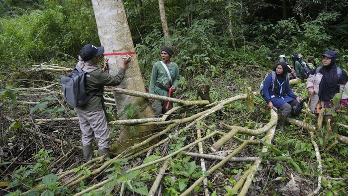 Wanita-wanita Tangguh Penjaga Hutan Aceh