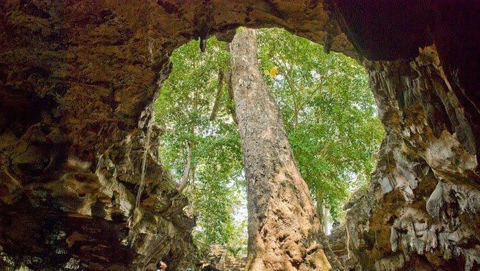 Jelajah 15 Wisata Gunungkidul Terpopuler