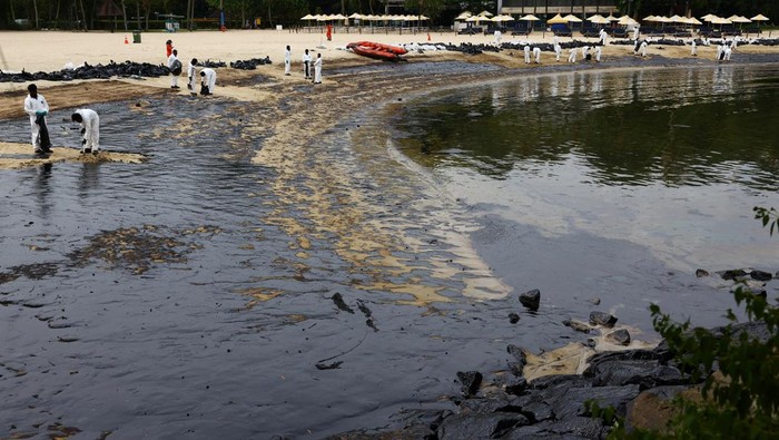 Penampakan Tumpahan Minyak Cemari Pantai di Singapura