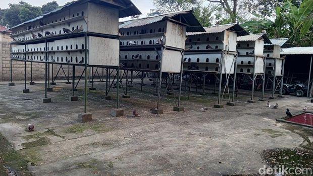 Menengok Fasilitas di Rumah Gedong Milik Bos Persib Umuh Muchtar Menengok Fasilitas di Rumah Gedong Milik Bos Persib Umuh Muchtar