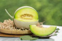 5 Jenis Melon Populer di Indonesia, dari yang Standar hingga Premium