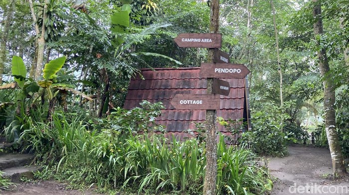 Pesona Tankaman Natural Park, Aktivitas Seru dengan Pemandangan Bukit Hijau