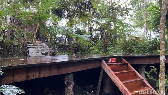 Pesona Tankaman Natural Park, Aktivitas Seru dengan Pemandangan Bukit Hijau